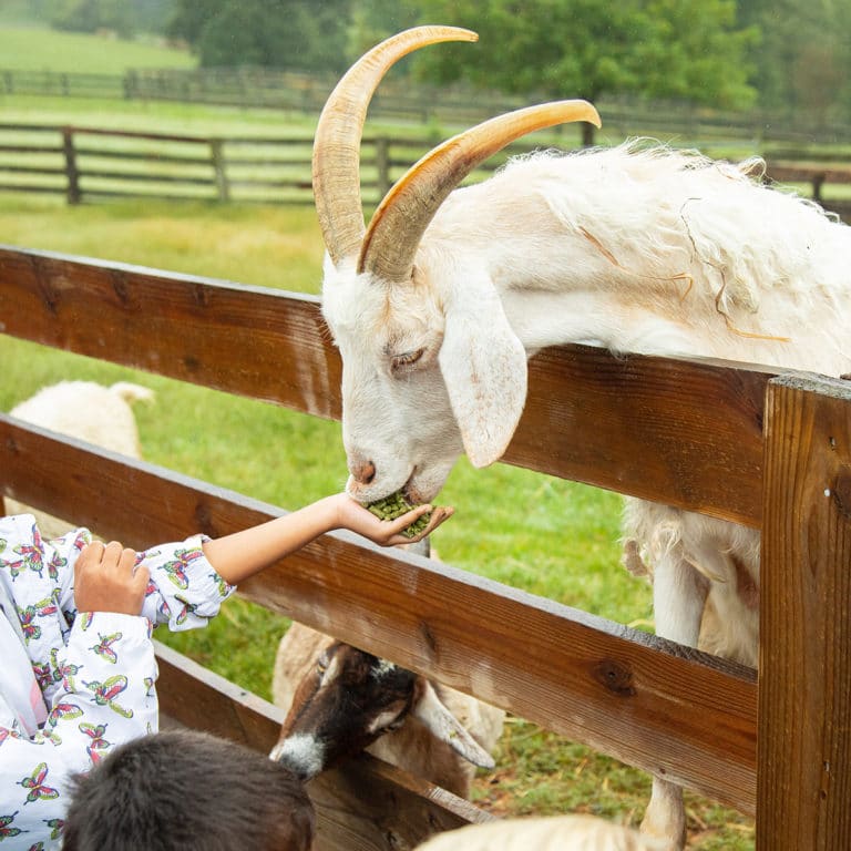 Maymont Foundation