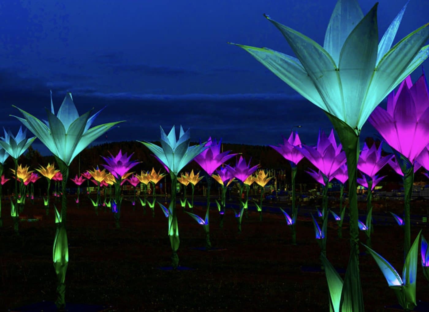 Garden Glow presented by Kroger Maymont