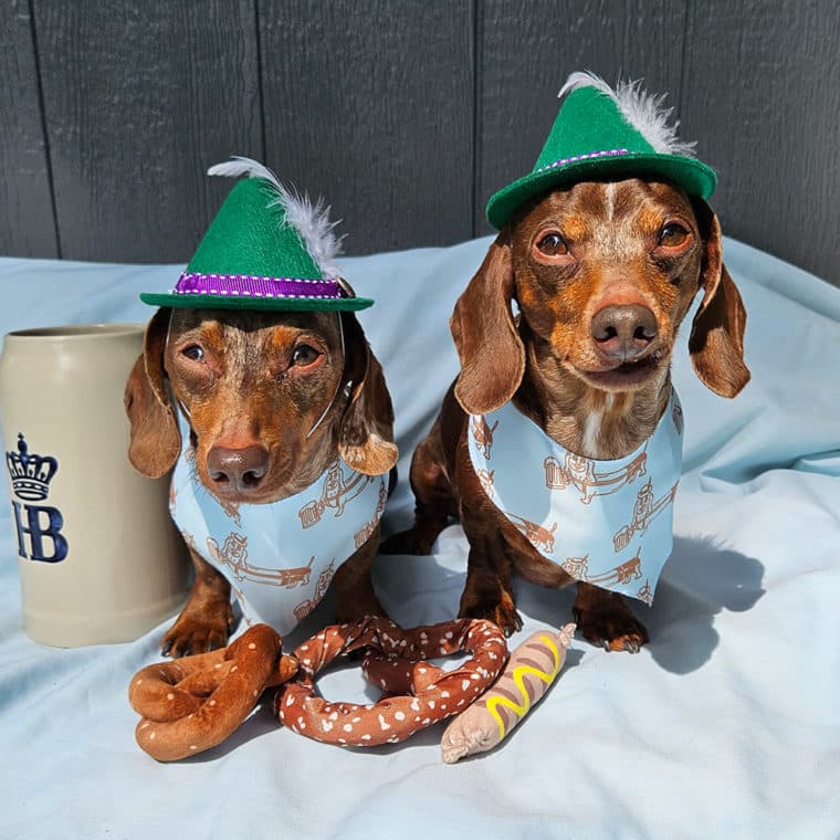 Bier-Garden | Maymont